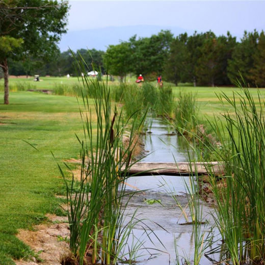 Mountain Vista Greens Golf Course: Fort Collins, CO - Colorado AvidGolfer